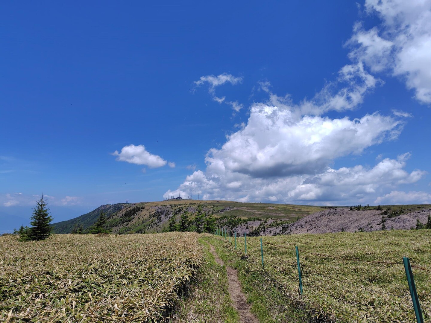 牛伏山・茶臼山・美ヶ原（王ヶ頭）・王ヶ鼻 / A1-2075さんの美ヶ原の活動データ | YAMAP / ヤマップ