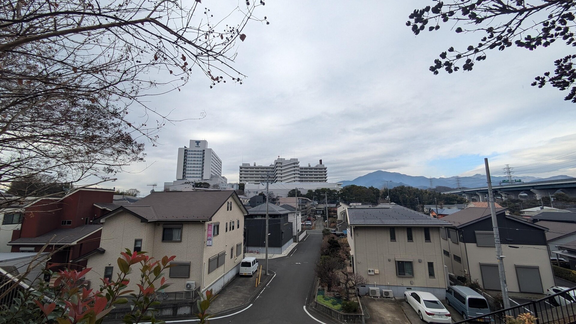 丸山、城山（登録申請しません）-2025-01-19 / ko usさんの大山の活動データ | YAMAP / ヤマップ