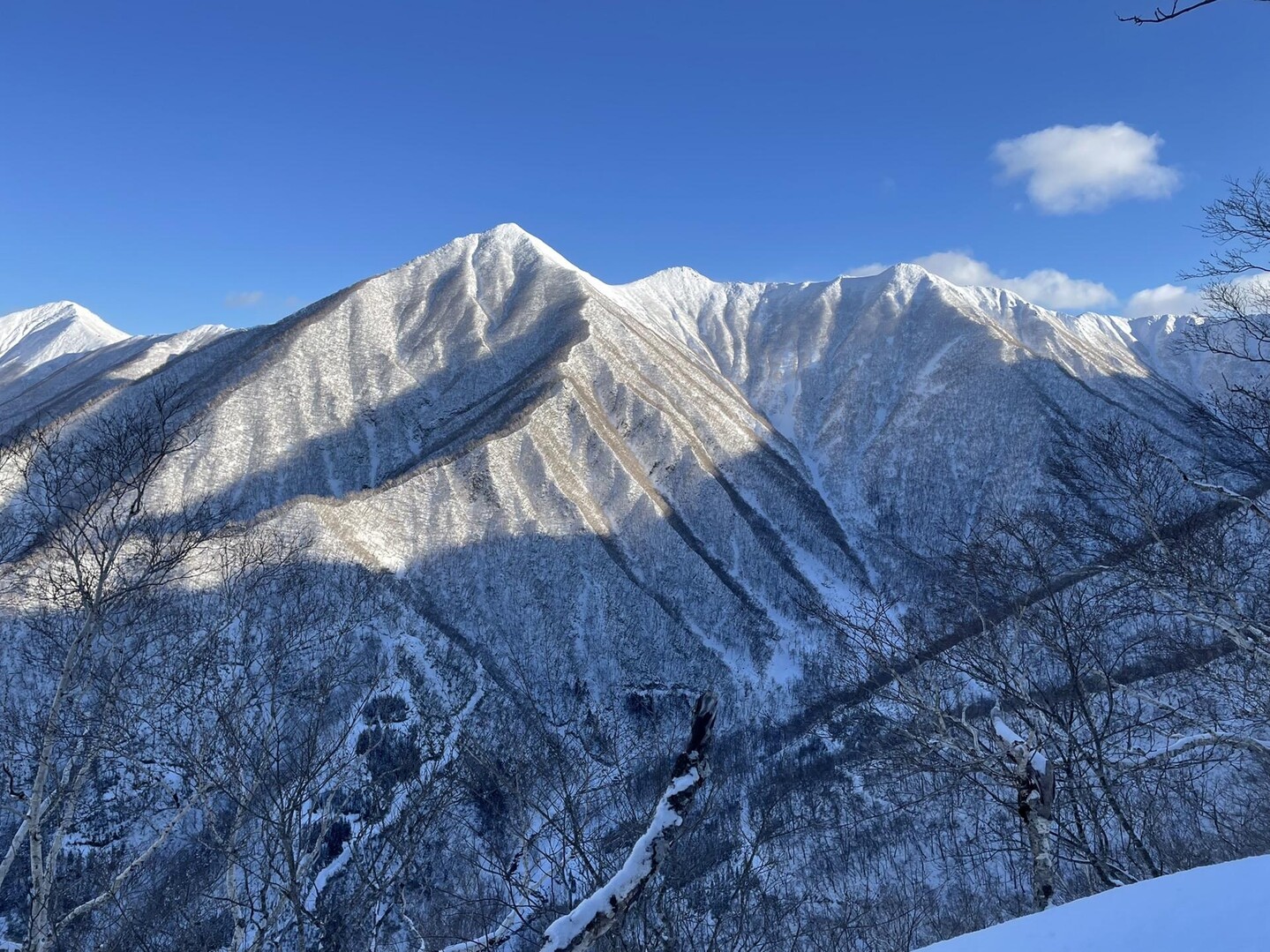 日高十勝岳を目指すも… / YRPのビさんの野塚岳・双子山（オムシャヌプリ）の活動データ | YAMAP / ヤマップ