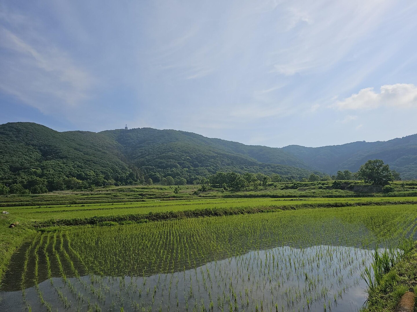 尖浅間山・宝篋山 / nobssさんの宝篋山・富岡山の活動データ | YAMAP / ヤマップ