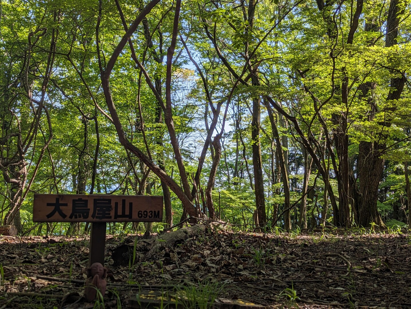 栃百44番目PH:大鳥屋山 / Tadさんの大鳥屋山・岳ノ山の活動データ | YAMAP / ヤマップ