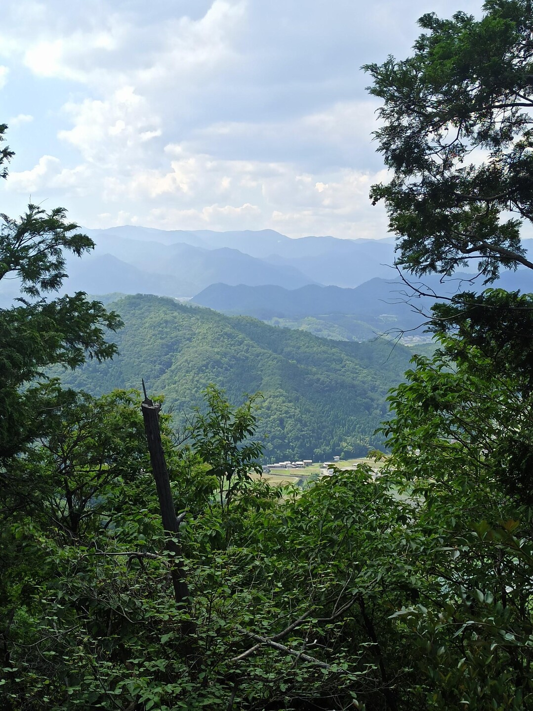日光寺山 / kost_japさんの小谷城山の活動日記 | YAMAP / ヤマップ