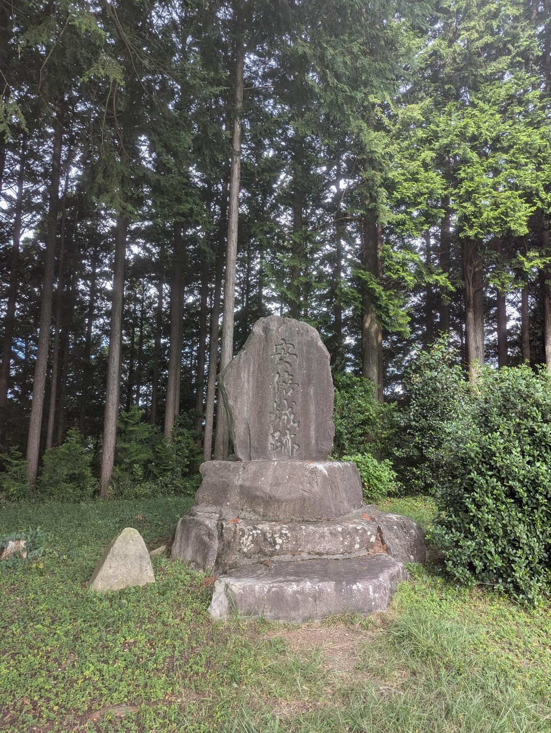 次回の山行に向けて安部城址で山トレ。 日... / y☆shiさんのモーメント | YAMAP / ヤマップ