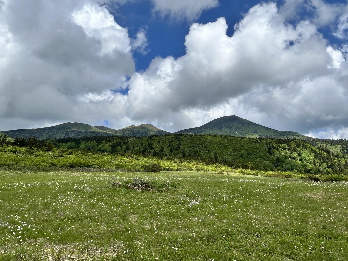 八甲田山（大岳）・井戸岳・赤倉岳 / aruさんの八甲田山・高田大岳・雛岳の活動データ | YAMAP / ヤマップ