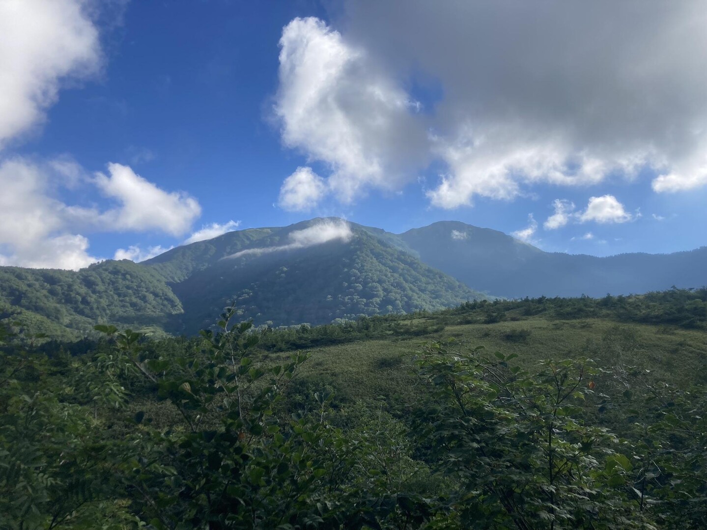 大日岳・中大日岳 / 和 3000さんの剱岳の活動データ | YAMAP / ヤマップ