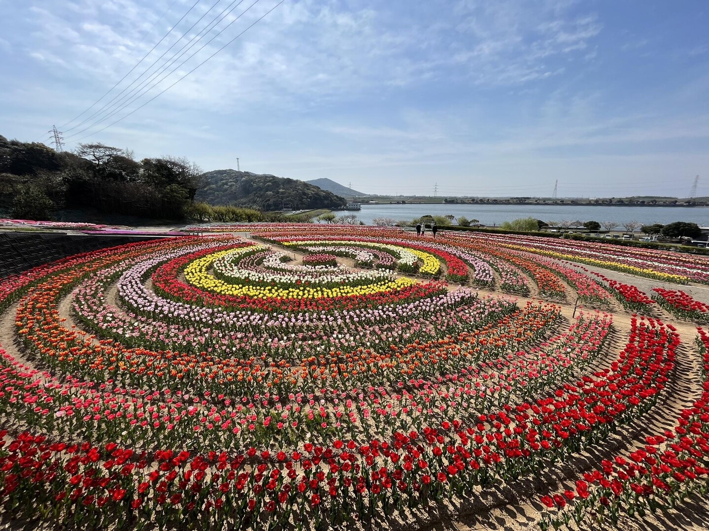 芦ヶ池農業公園サンテパルクたはら 春のチ... / cocoさんのモーメント | YAMAP / ヤマップ
