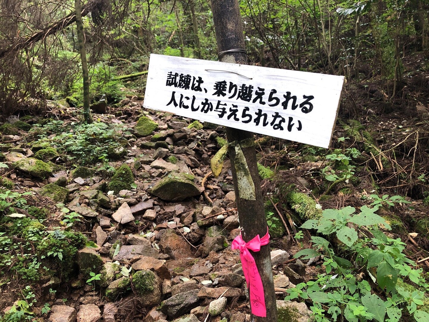 タイトルはこれ☝️ ー 作礼山・作礼山東峰（権現山）・897ピーク / でこぴんさんの作礼山の活動データ | YAMAP / ヤマップ