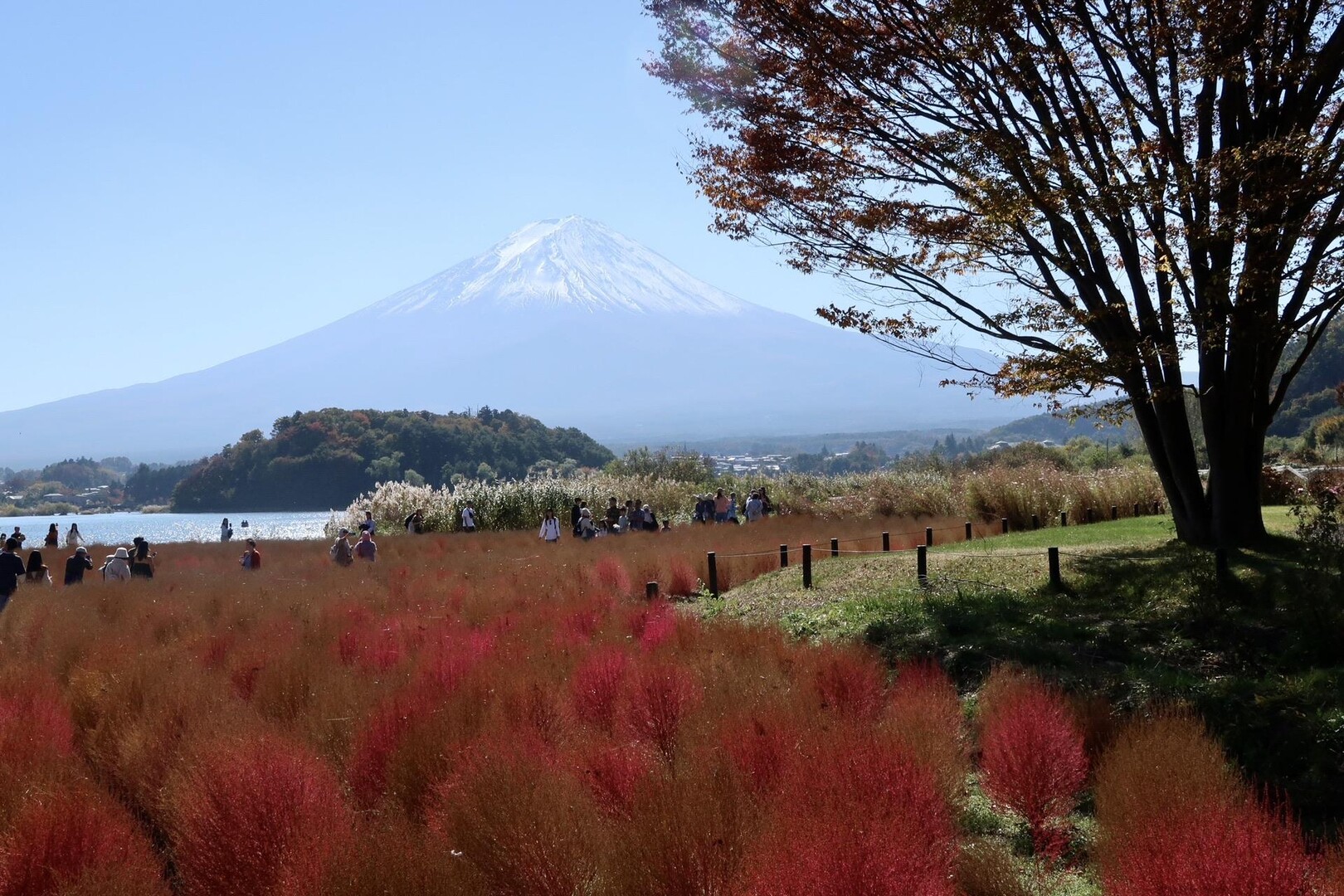 素晴らしいお天気の3連休初日、足首の骨折... / heeさんのモーメント | YAMAP / ヤマップ