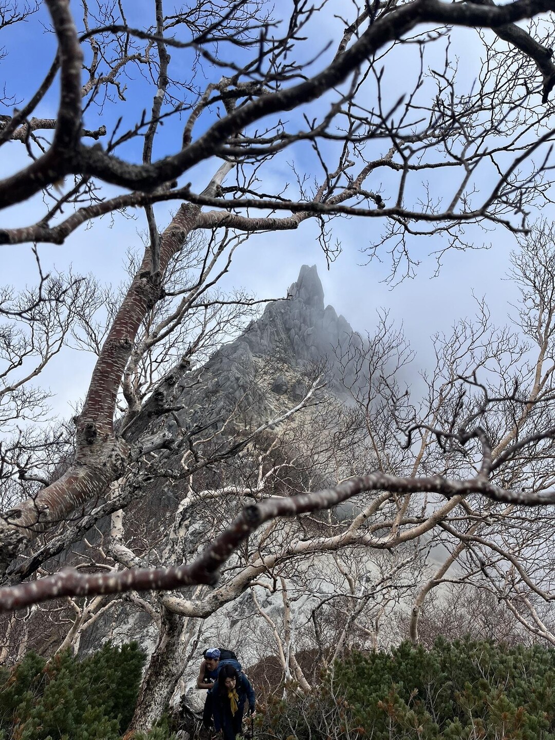 日本百名山25座目 鳳凰三山（地蔵岳・観音岳・薬師岳） / KONIさんの鳳凰山・地蔵岳・観音岳・薬師岳の活動データ | YAMAP / ヤマップ