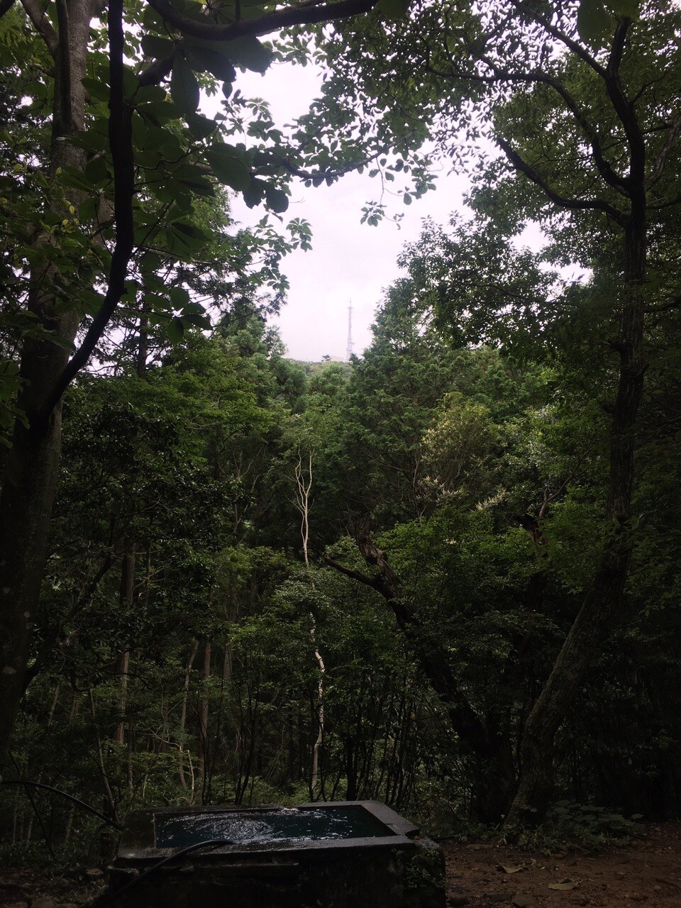白木山 歩荷訓練7kg→11kg / えいまんさんの白木山・高松山・鬼ヶ城山の活動データ | YAMAP / ヤマップ