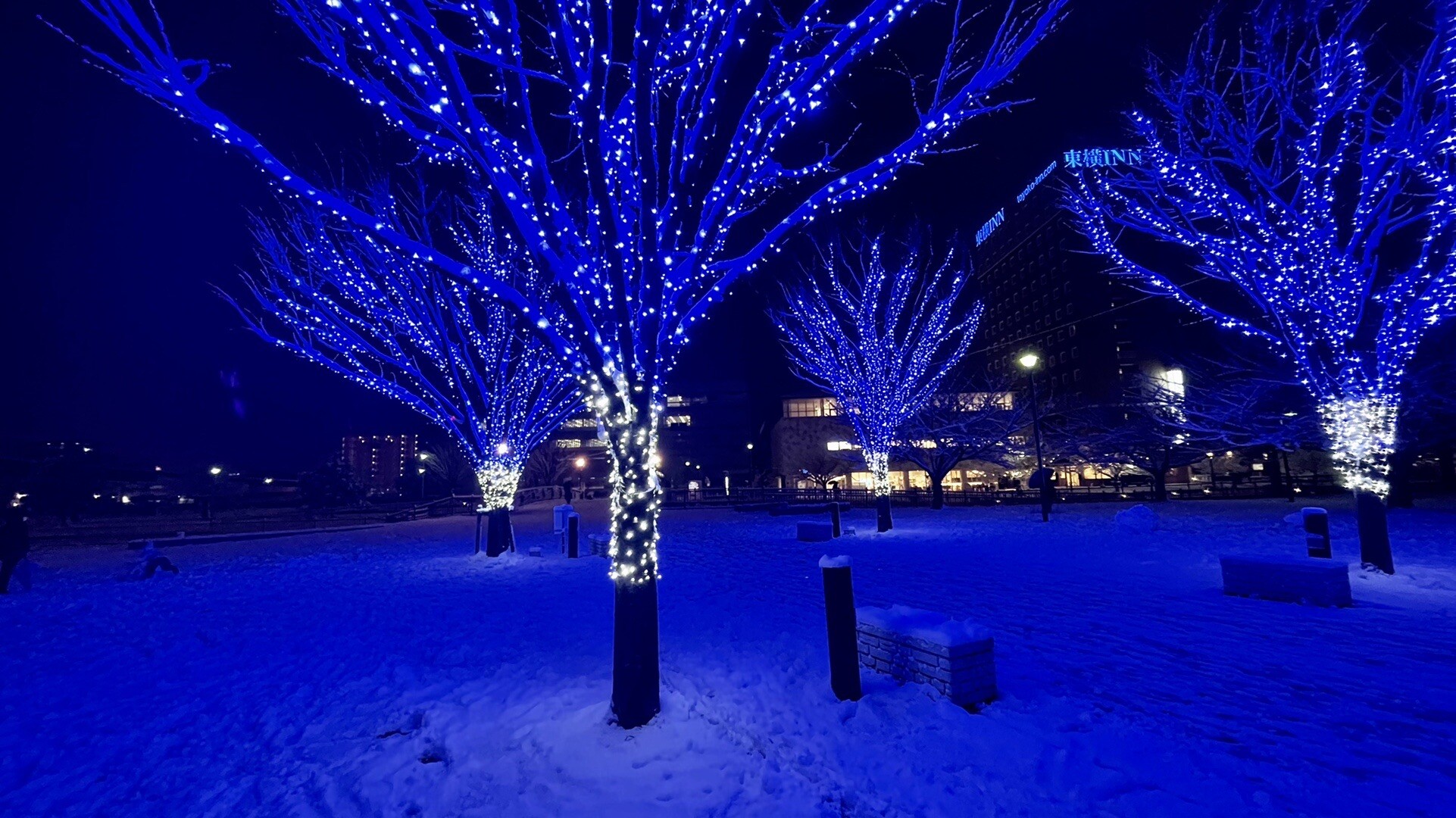 近所のイルミネーション雪ver☃️ 天気... / まこスケ🐿さんのモーメント | YAMAP / ヤマップ