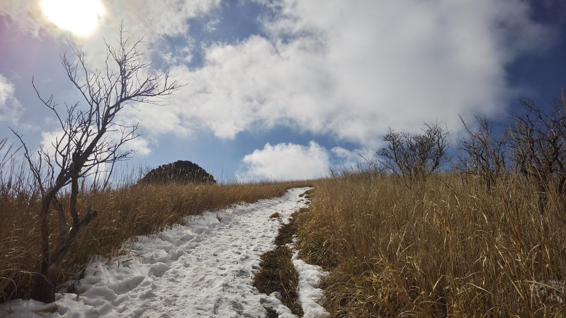 猟師岳 / tamuさんの涌蓋山・猟師山の活動データ | YAMAP / ヤマップ