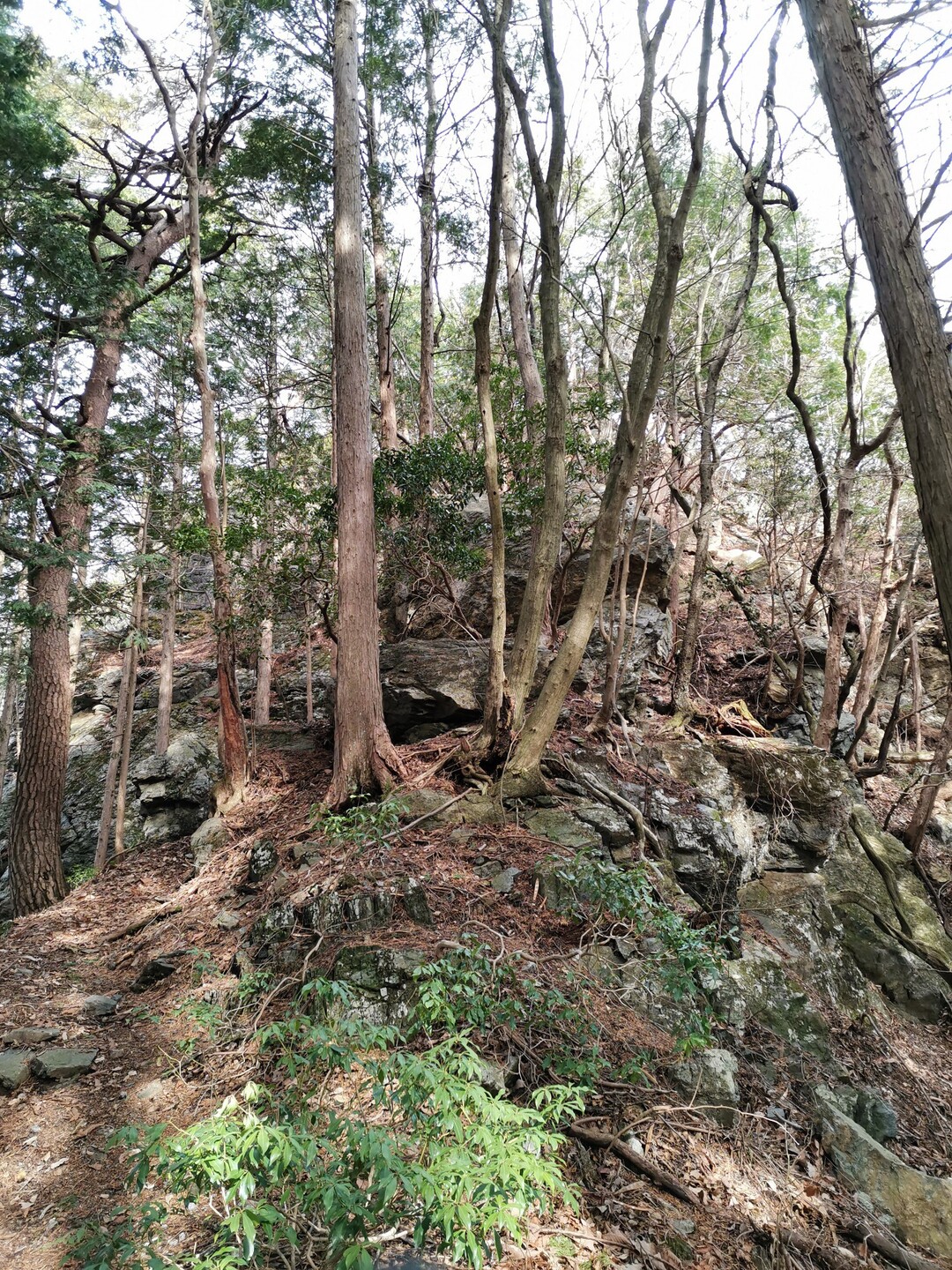 Bakiさんの投稿したフィールドメモ | YAMAP / ヤマップ