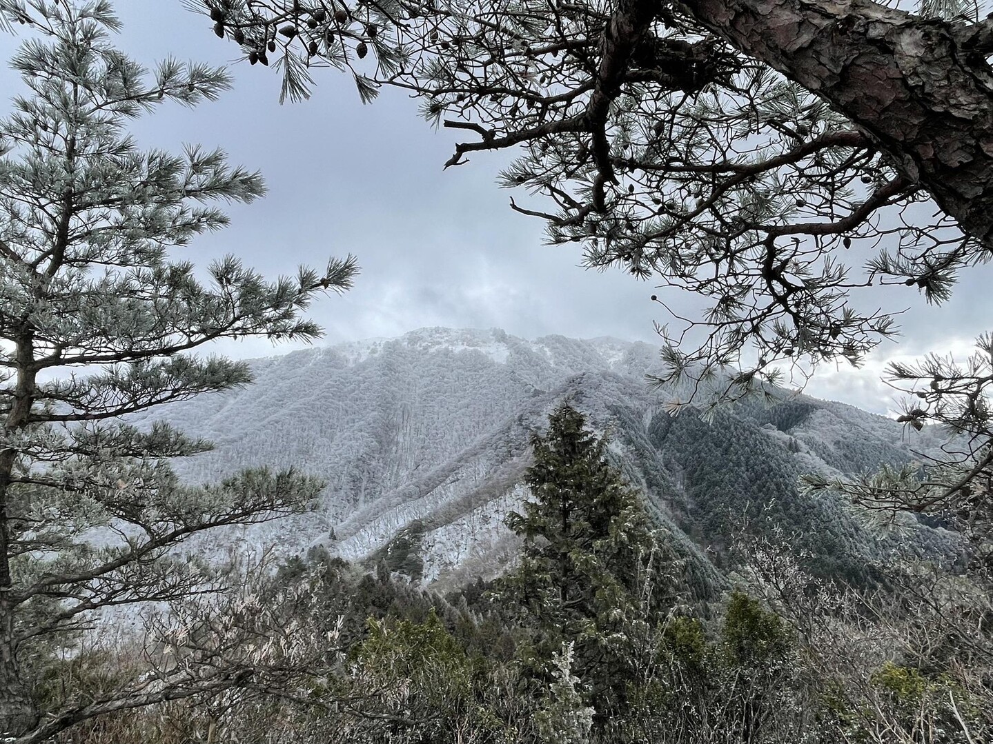 時が経っても変わらないコト・モノ 綿向山・竜王山 / mojaさんの綿向山の活動データ | YAMAP / ヤマップ