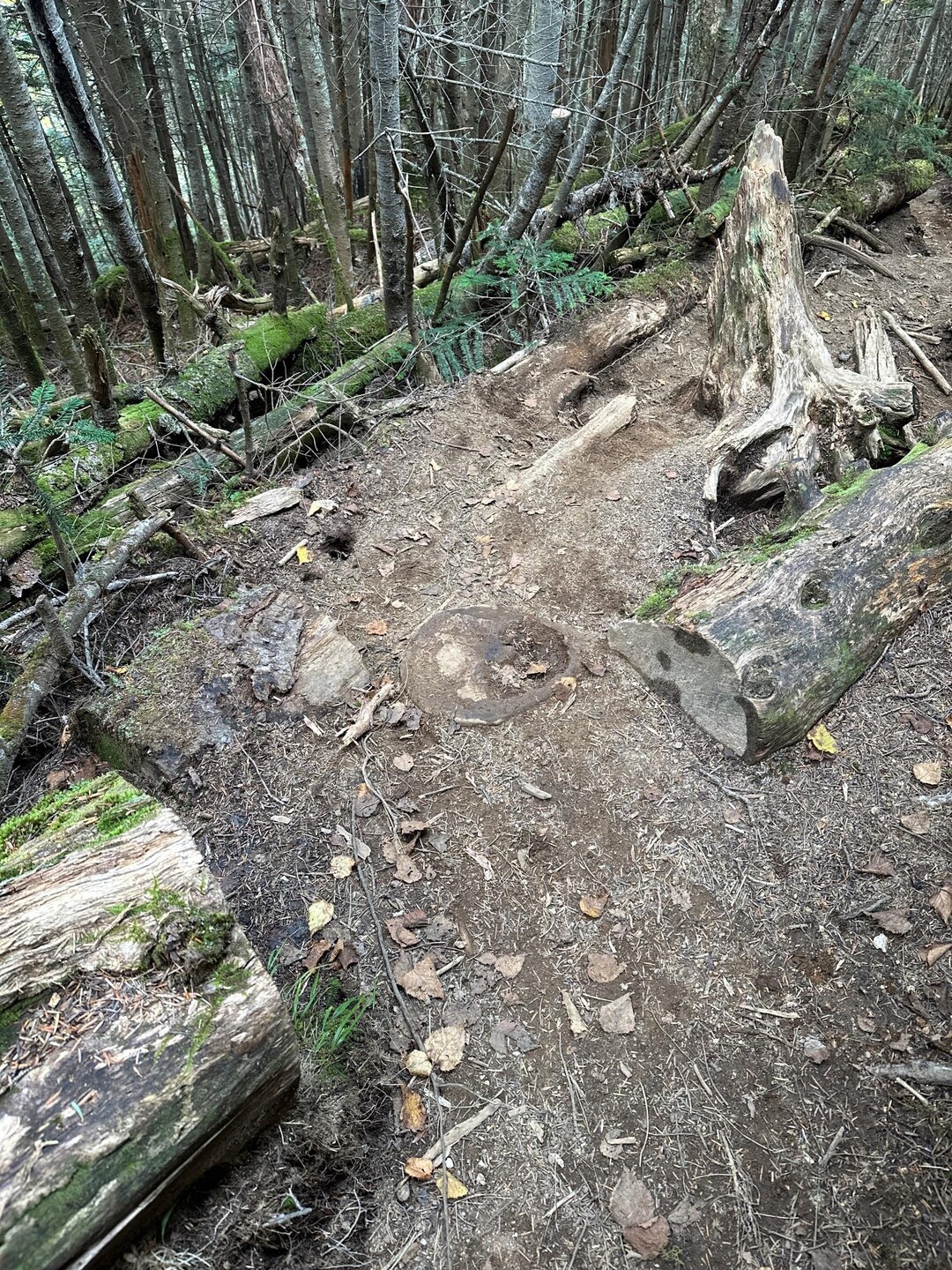 kei ichiさんの投稿したフィールドメモ | YAMAP / ヤマップ