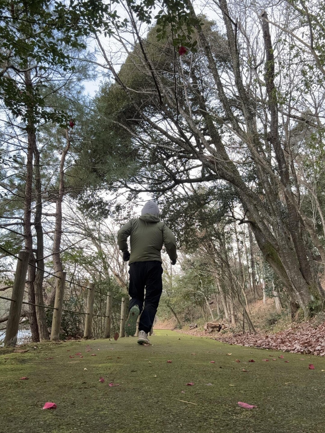 いこいの森をグルグルしながら2025年を想う。 / NAOZOさんの小松市の活動データ | YAMAP / ヤマップ