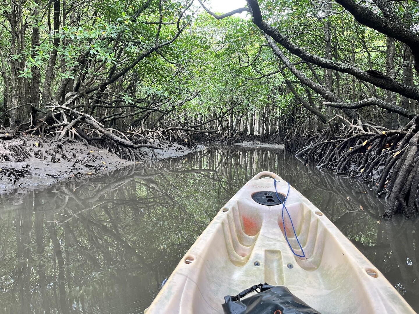石垣島で干潮時シーカヤックIshigaki island sea kayaking at low tide / Yamatitoさんのランニングの活動データ | YAMAP / ヤマップ