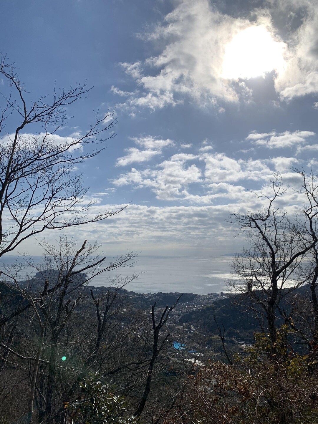 幕山・南郷山 / kosmasさんの幕山・南郷山の活動データ | YAMAP / ヤマップ