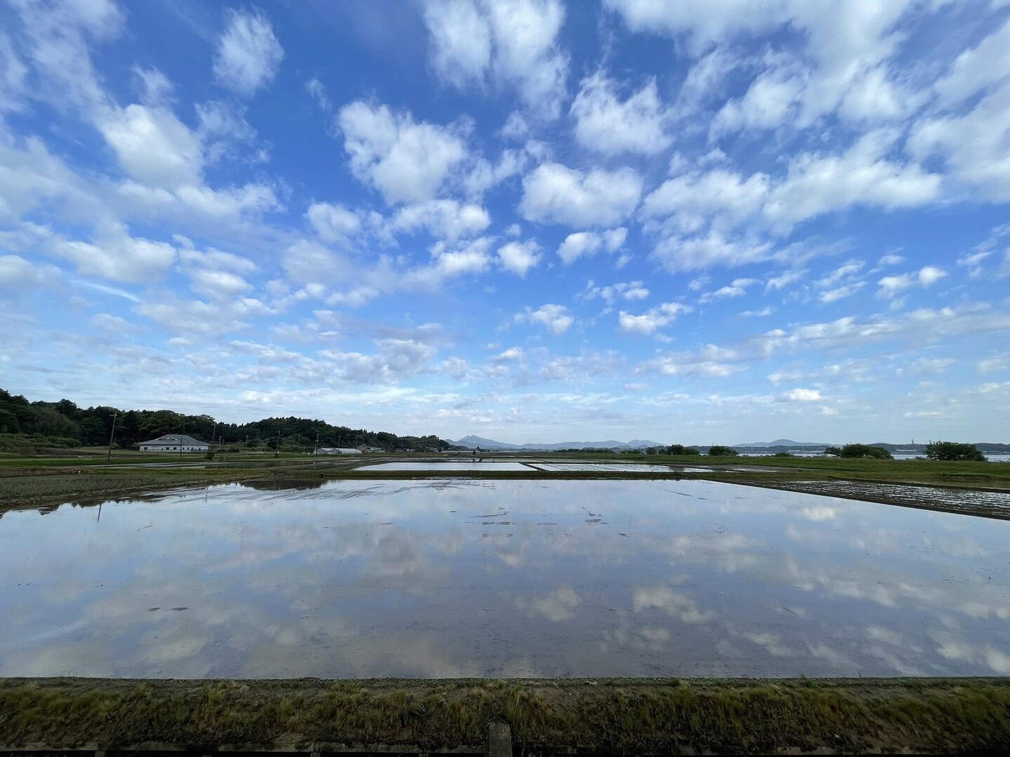 Sea to Summit 鶴沼山 ／ つくば霞ヶ浦りんりんロード 西浦一周 / U・x・U ポチ@ひよっこトレイルウォーカーさんの霞ヶ浦の活動データ | YAMAP / ヤマップ