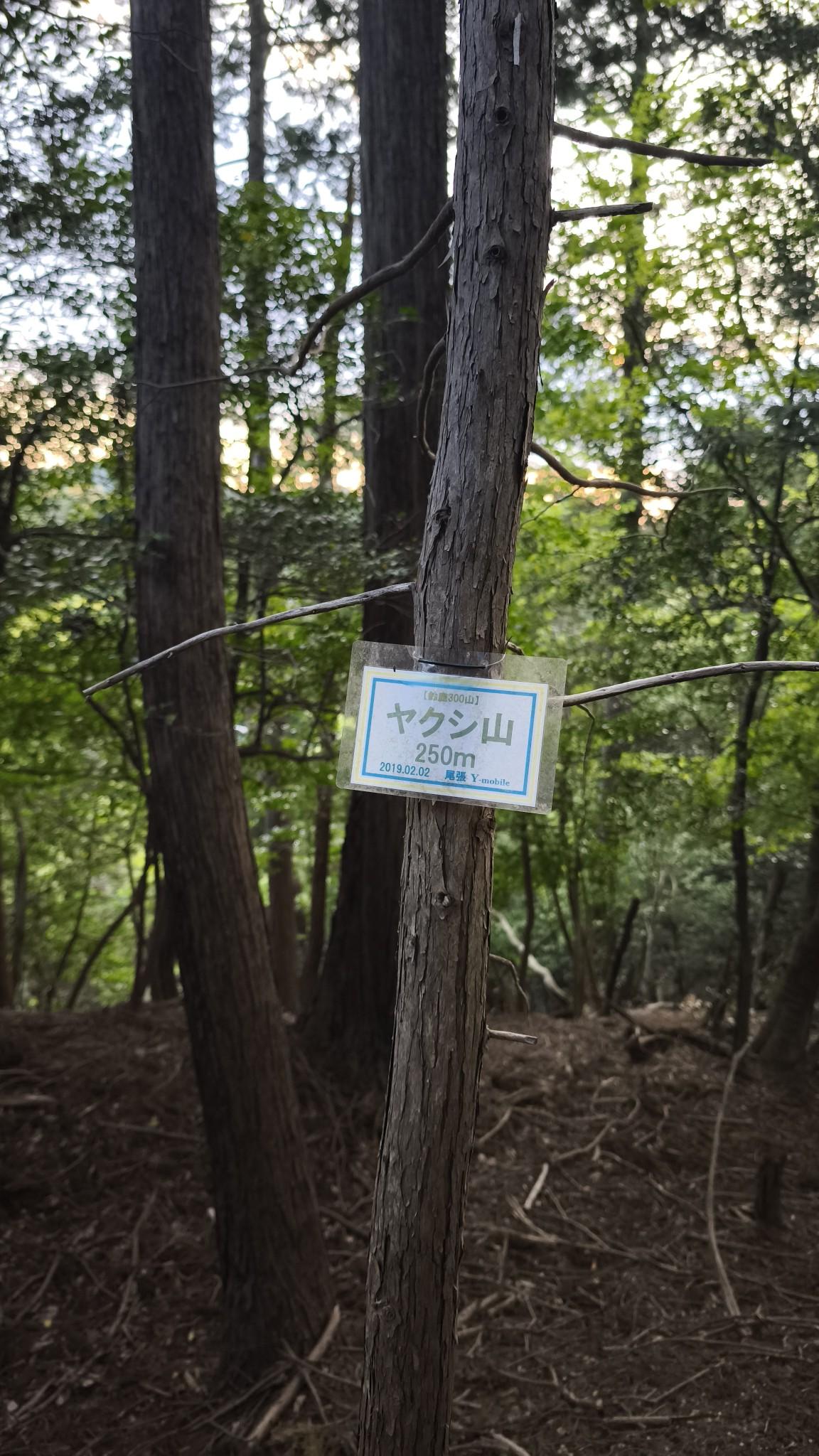 ヤクシ山 / palさんの松尾山・城山の活動データ | YAMAP / ヤマップ