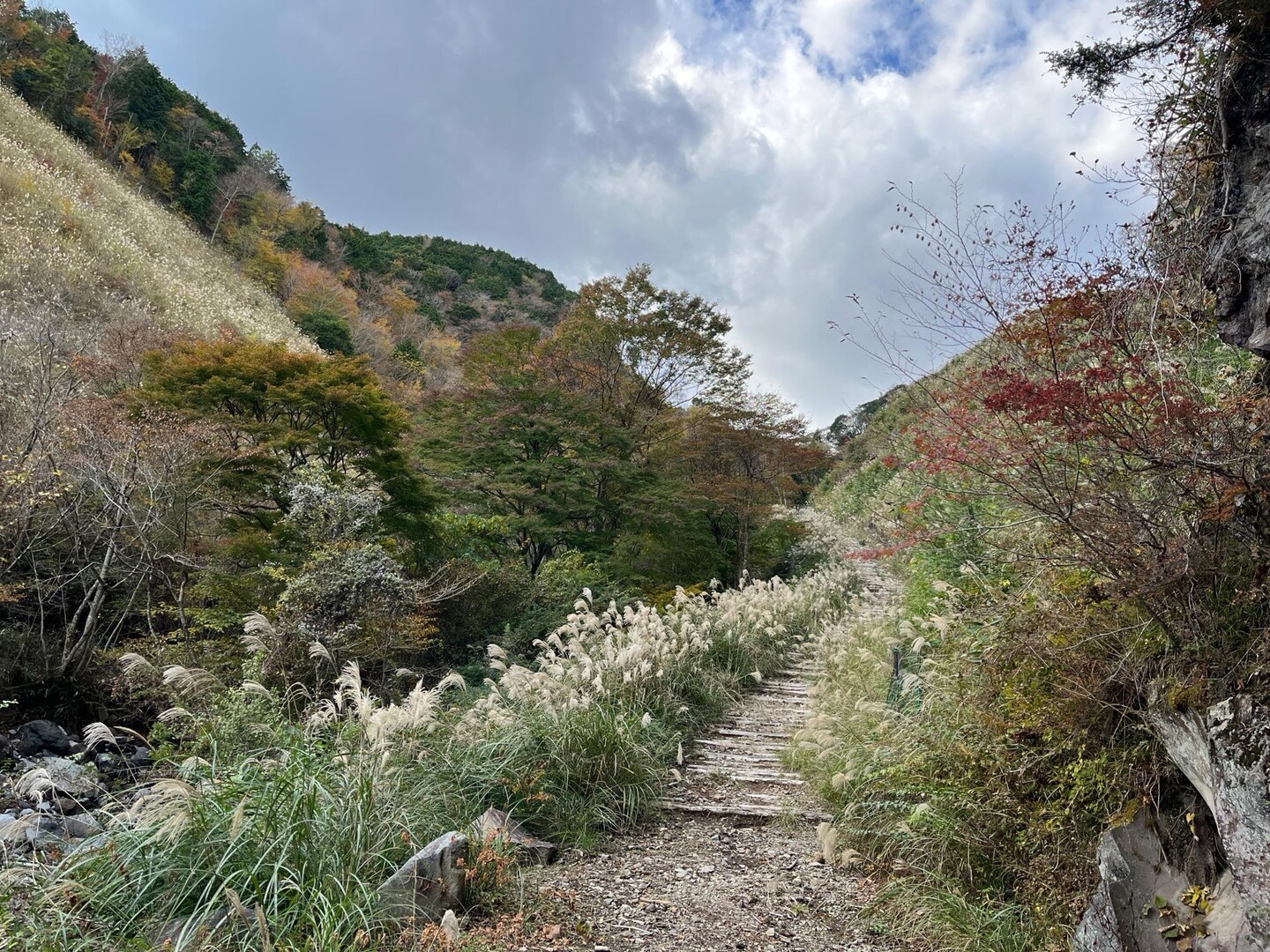 愛鷹連峰（位牌岳、袴腰岳、愛鷹山） / harumiさんの愛鷹山・大岳・黒岳の活動データ | YAMAP / ヤマップ