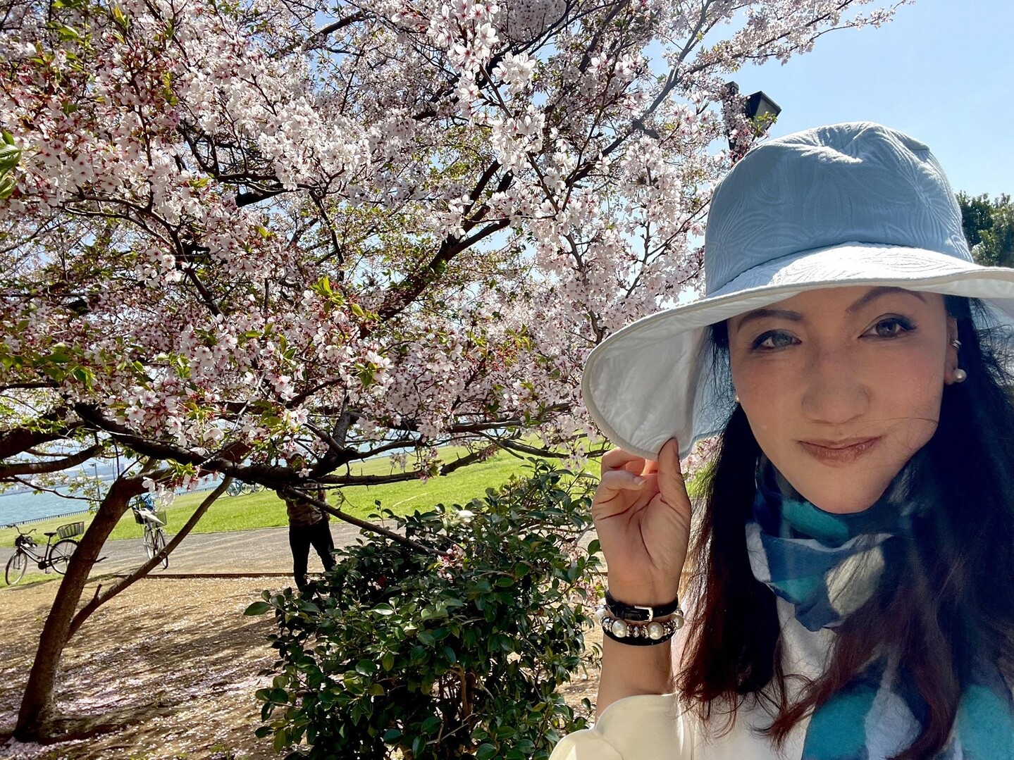 大阪は此花区で お花見からの ネモフィラ... / あかささんのモーメント | YAMAP / ヤマップ