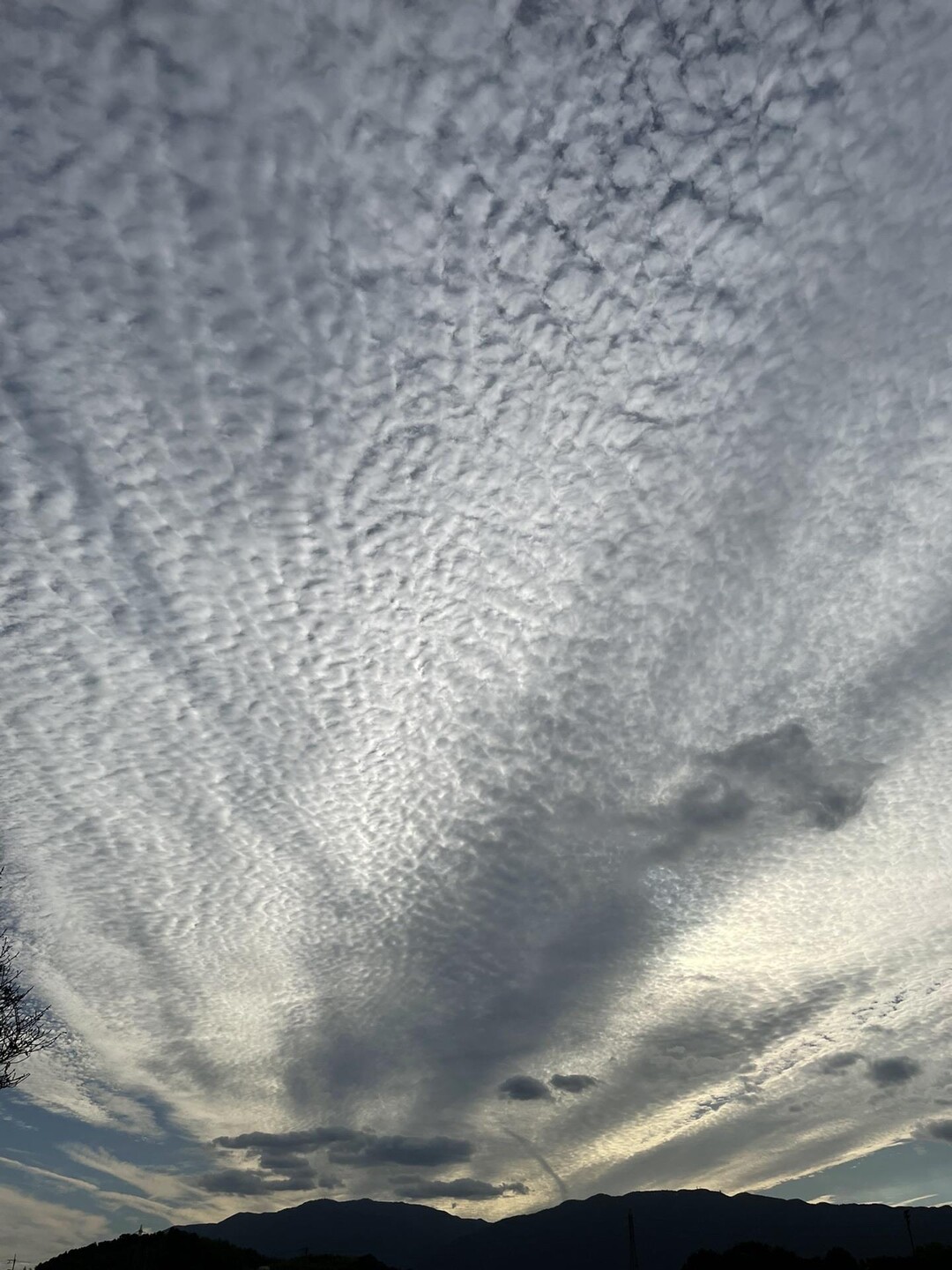 金剛・葛城山からの雲。とても綺麗 / もーりさんのモーメント | YAMAP / ヤマップ