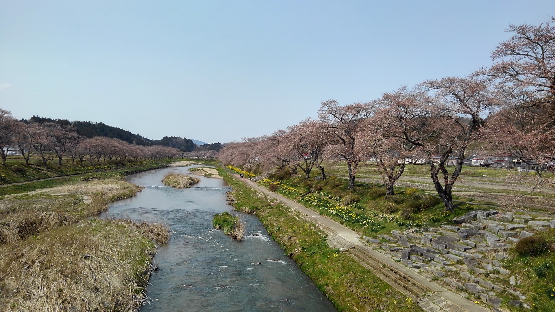 2020-04-15小野町 夏井千本桜 / campziziさんの蓬田岳の活動データ | YAMAP / ヤマップ
