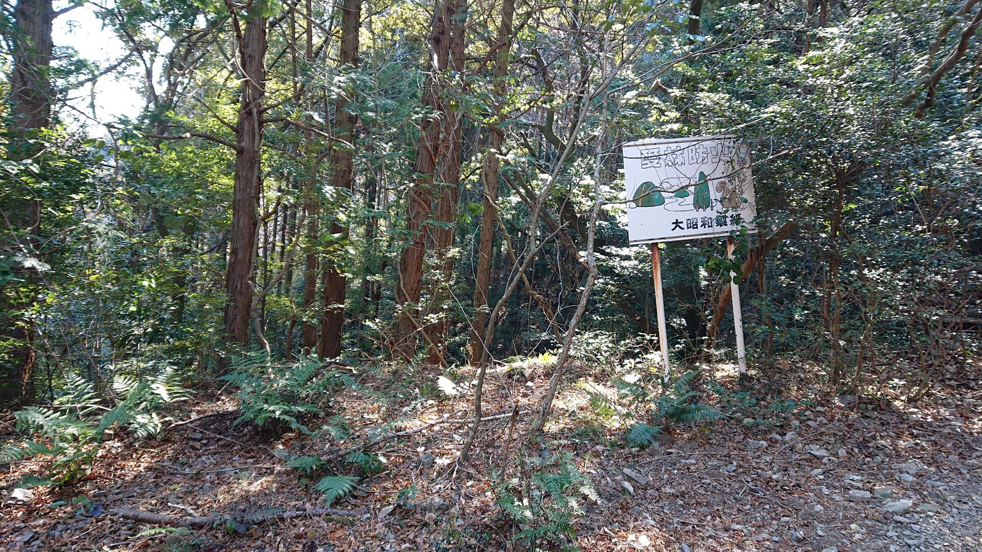 fuu-rinさんの投稿したフィールドメモ | YAMAP / ヤマップ