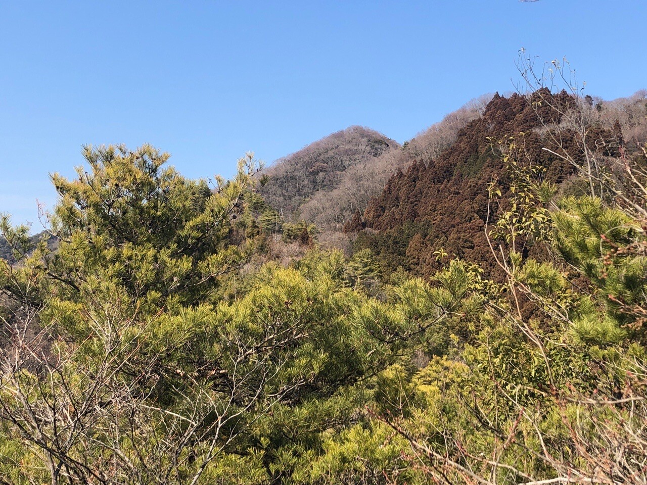 小鞍掛・鎌倉山 / idasさんの角尾山・五峰山・矢筈山の活動データ | YAMAP / ヤマップ