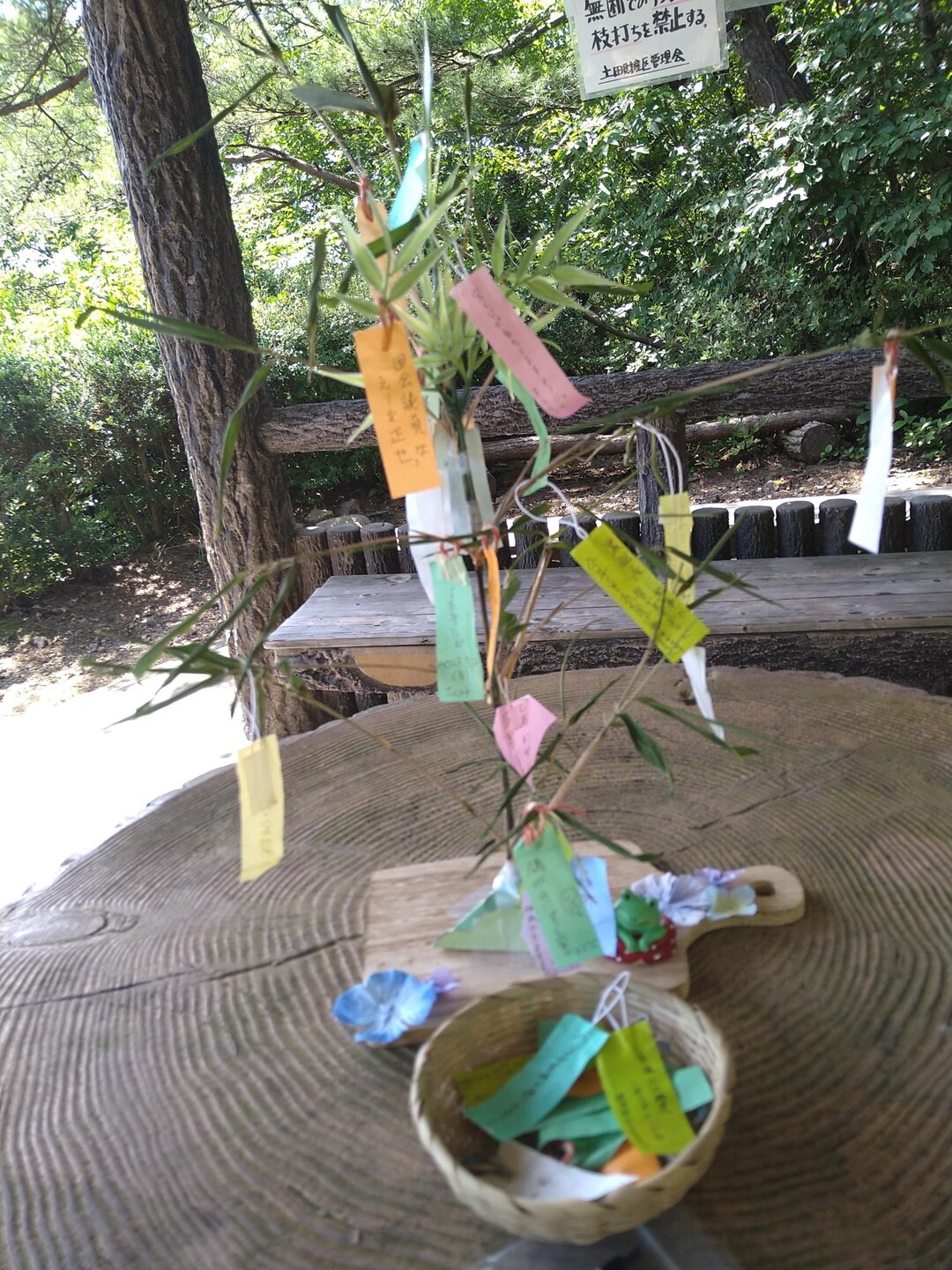 人も優し鳩吹山 / 彦hikoさんの鳩吹山の活動日記 | YAMAP / ヤマップ