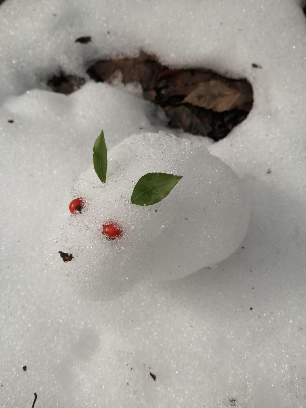 象鼻山 / mimiさんの南宮山・象鼻山の活動データ | YAMAP / ヤマップ