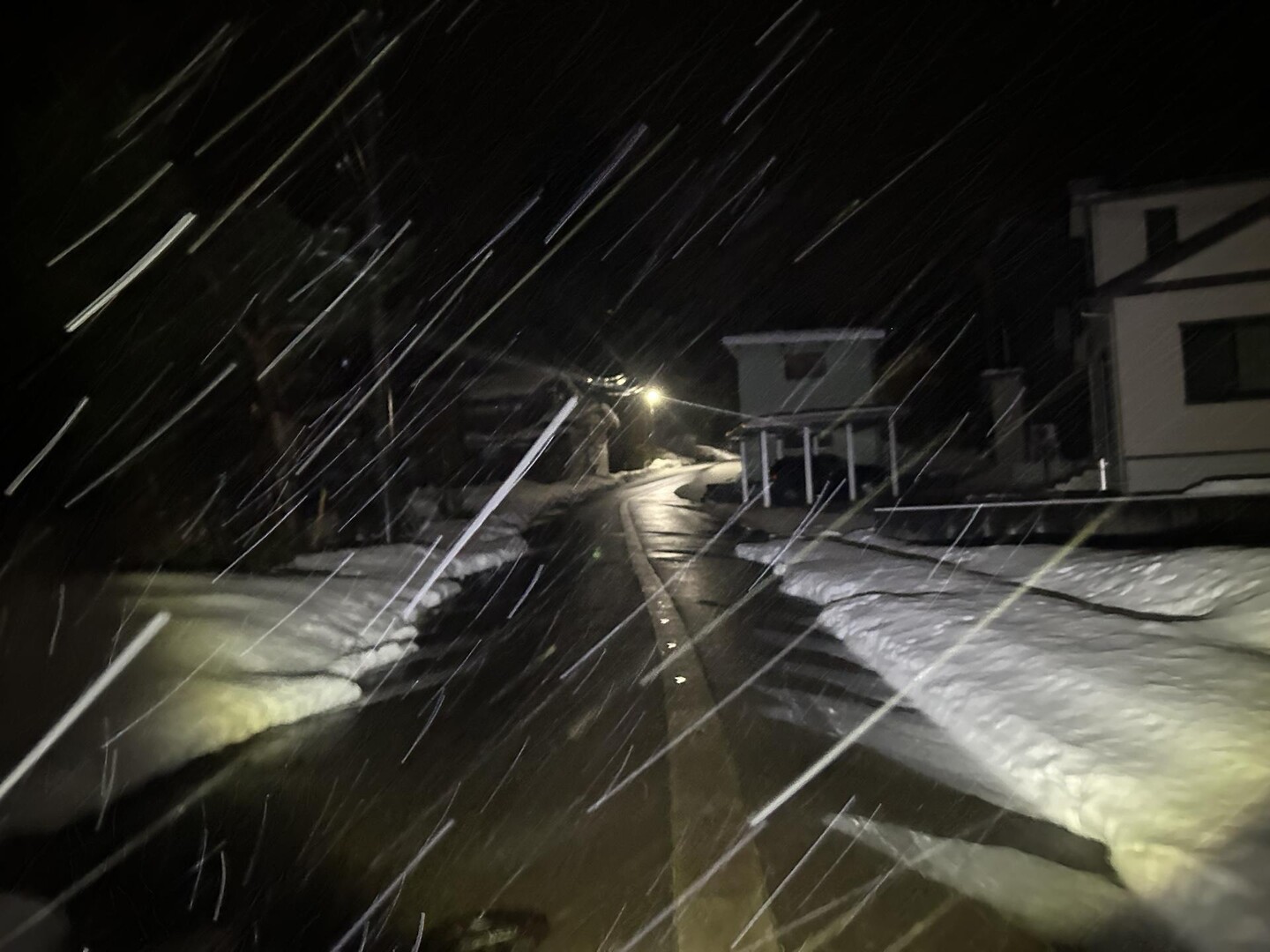 城山8（通算2,500） / シノさんの時水城山・丸山の活動データ | YAMAP / ヤマップ