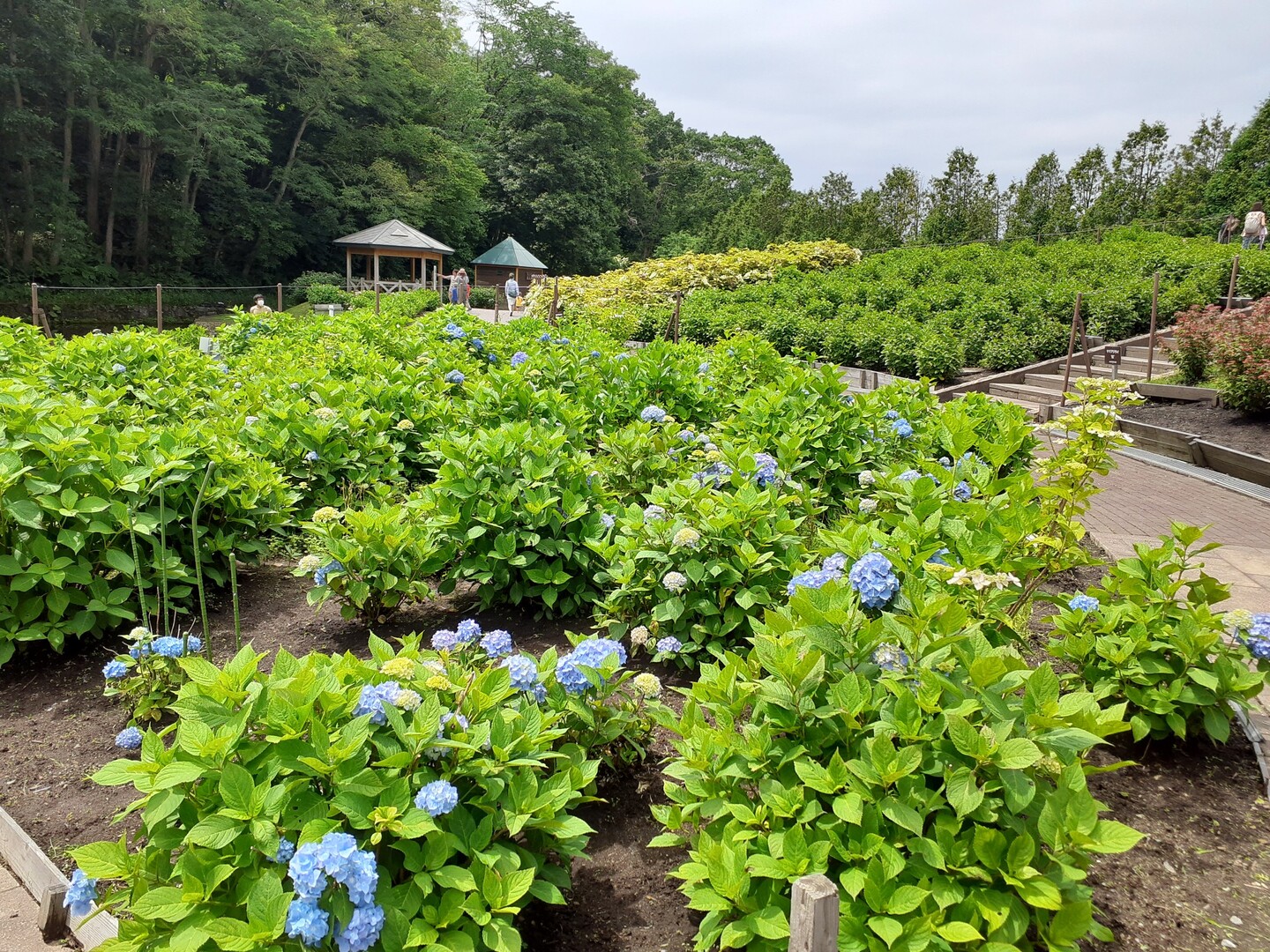 最近の休日になると☂️ なんとかならんす... / Tomoさんのモーメント | YAMAP / ヤマップ