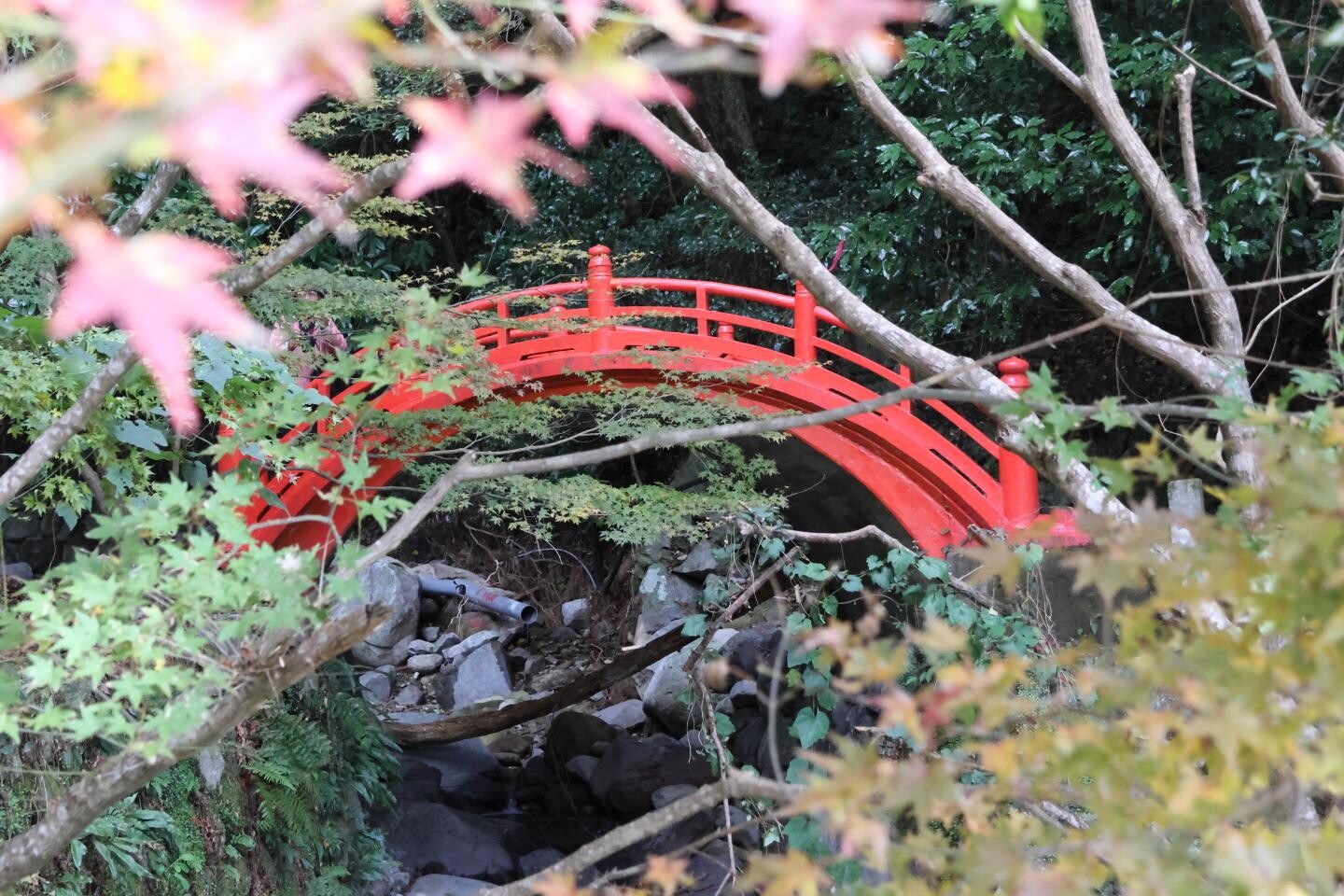 両子寺紅葉始まる / miippさんのその他の活動データ | YAMAP / ヤマップ