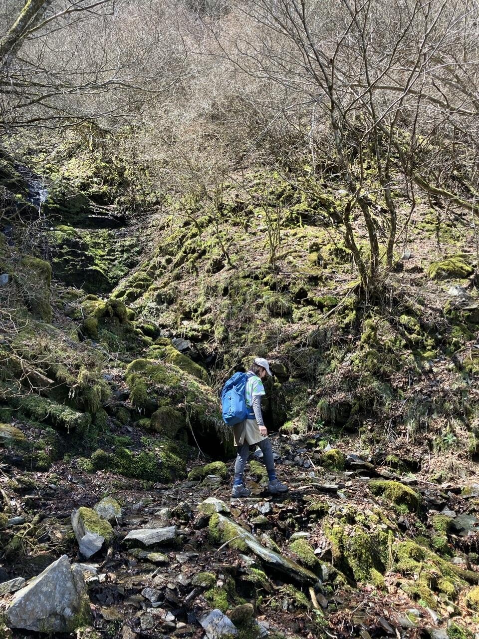 MARIKOのページ | YAMAP / ヤマップ