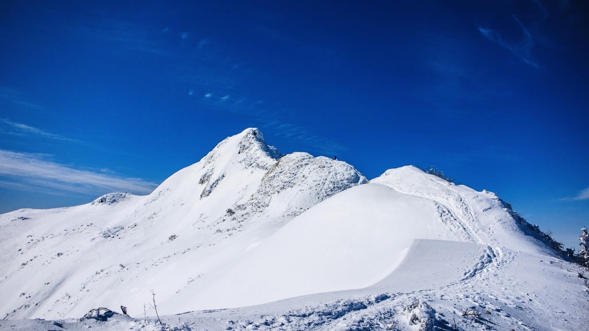 剣ヶ峰山・武尊山 / たかゆき (88ヨイショ！）さんの武尊山・鹿俣山・尼ヶ禿山の活動データ | YAMAP / ヤマップ