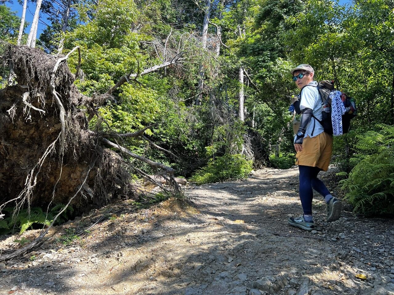Tanmo Minoのページ | YAMAP / ヤマップ