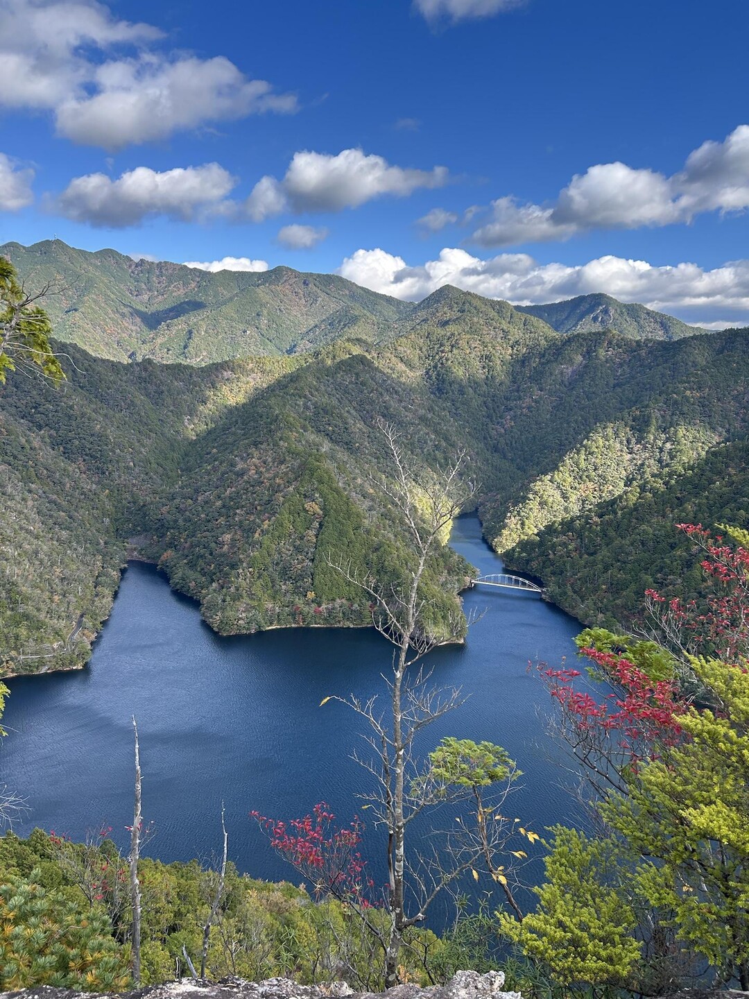 久しぶりの上臈岩 / yy.taroさんの宇連山・鳳来寺山・岩古谷山の活動データ | YAMAP / ヤマップ