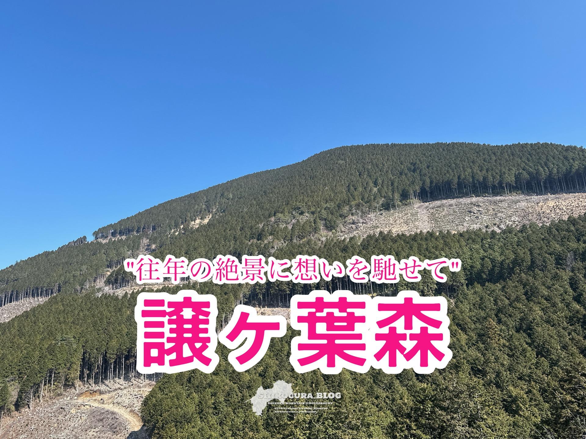 譲ヶ葉森の紹介記事を書きました📝 h... / やまゆう@しこぐらさんのモーメント | YAMAP / ヤマップ