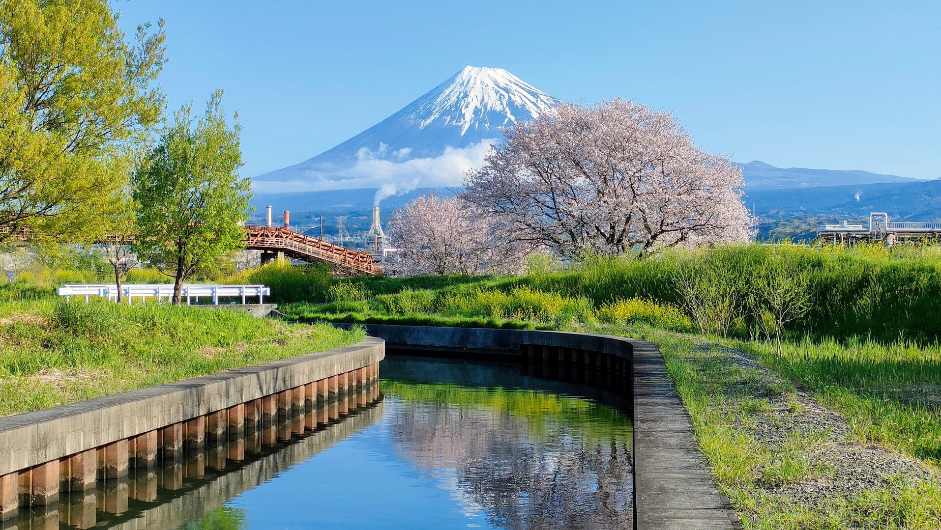 【🌸富士山と桜🌸春の景色👍】 / kunsanさんの富士山の活動データ | YAMAP / ヤマップ