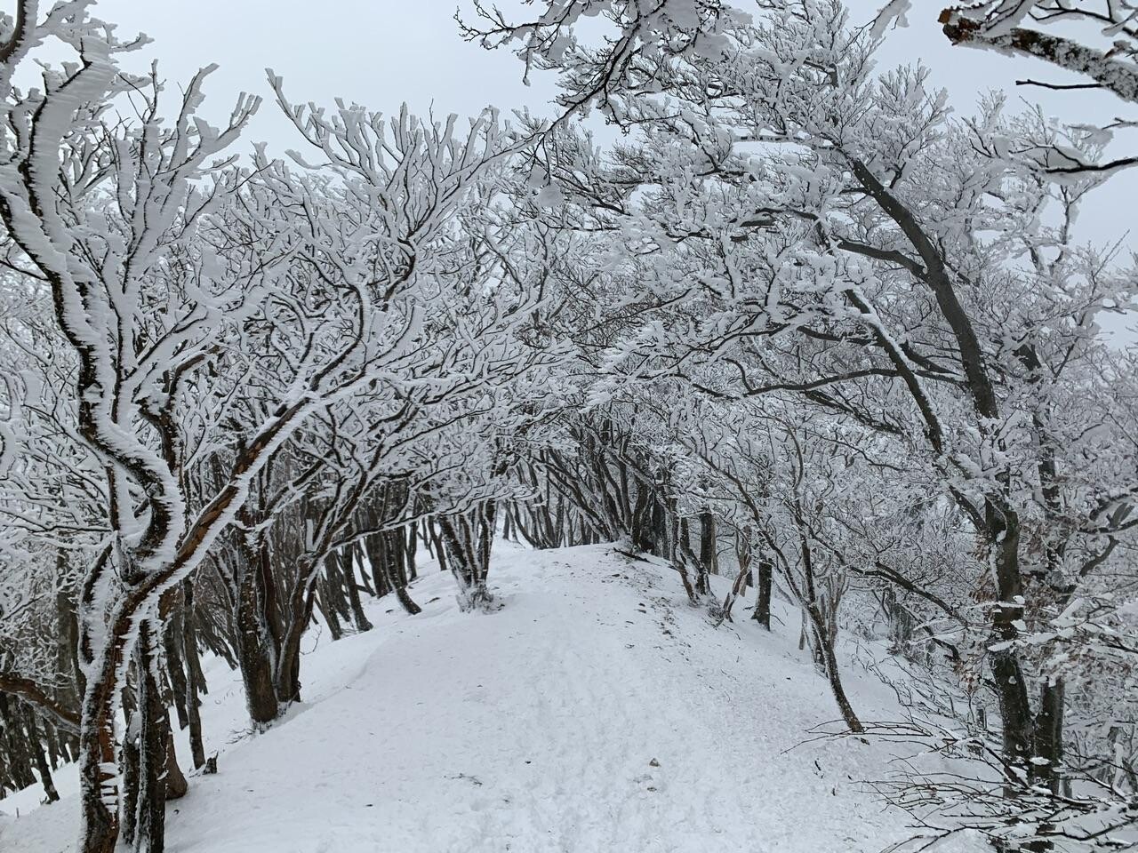 KANのページ | YAMAP / ヤマップ