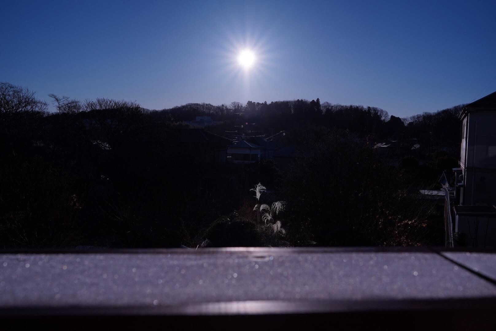 🎍明けましておめでとうございます🎍 ... / ihatoveさんのモーメント | YAMAP / ヤマップ