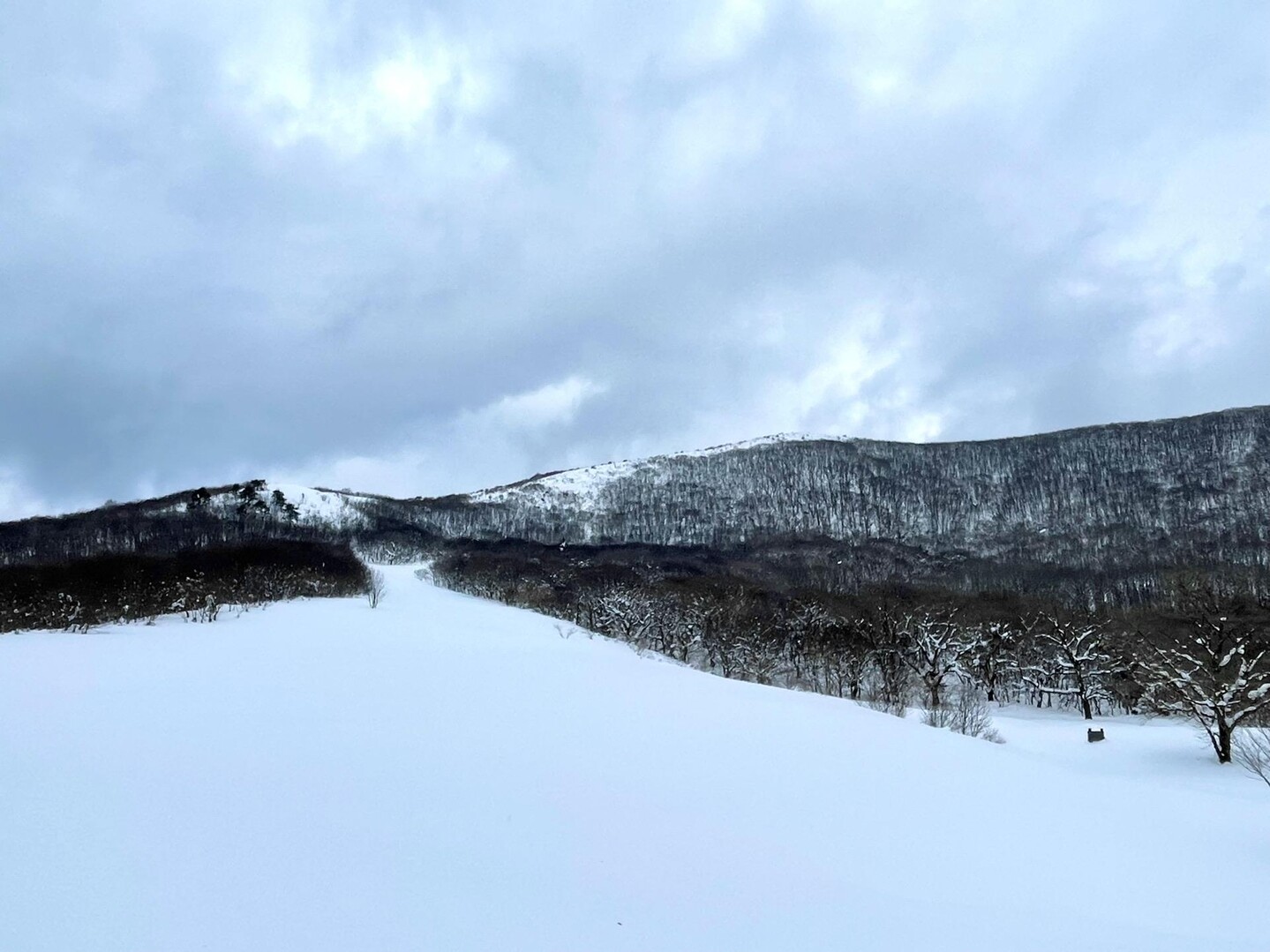 吾妻山BC / souさんの比婆山・立烏帽子山・吾妻山の活動データ | YAMAP / ヤマップ