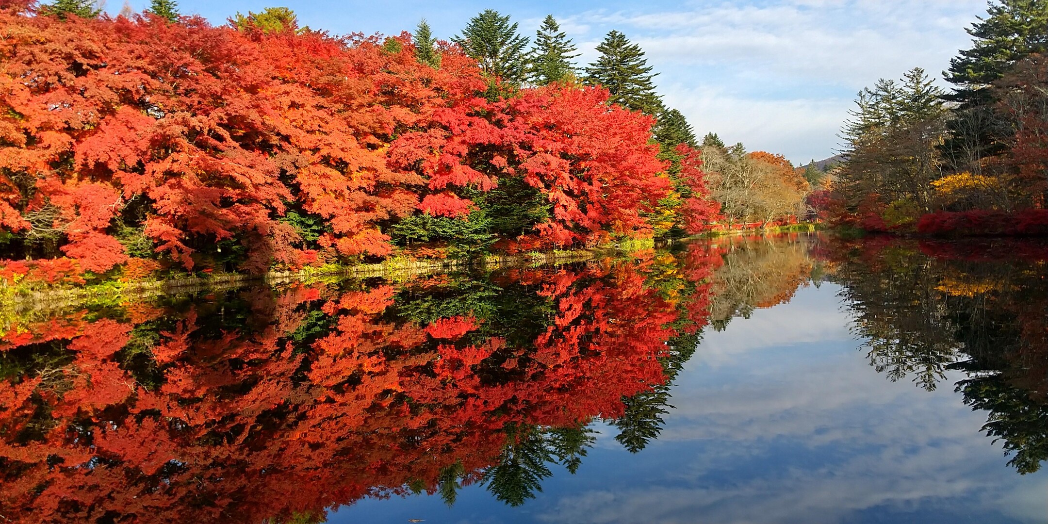軽井沢 紅葉便り 朝一番の雲場池。山... / katuさんのモーメント | YAMAP / ヤマップ