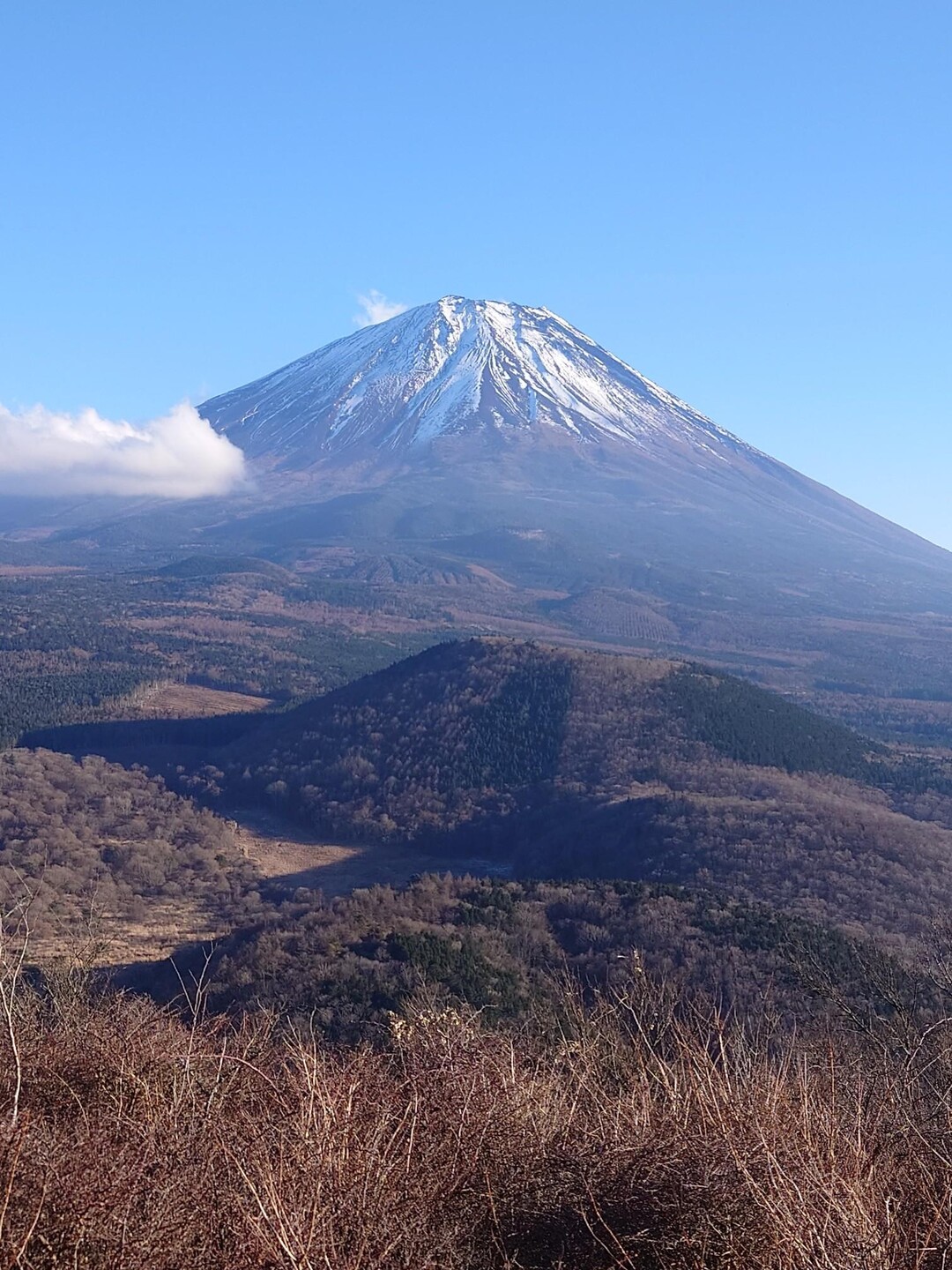 大室山・大室山南峰・神座山・石塚山 / palさんの富士山の活動データ | YAMAP / ヤマップ
