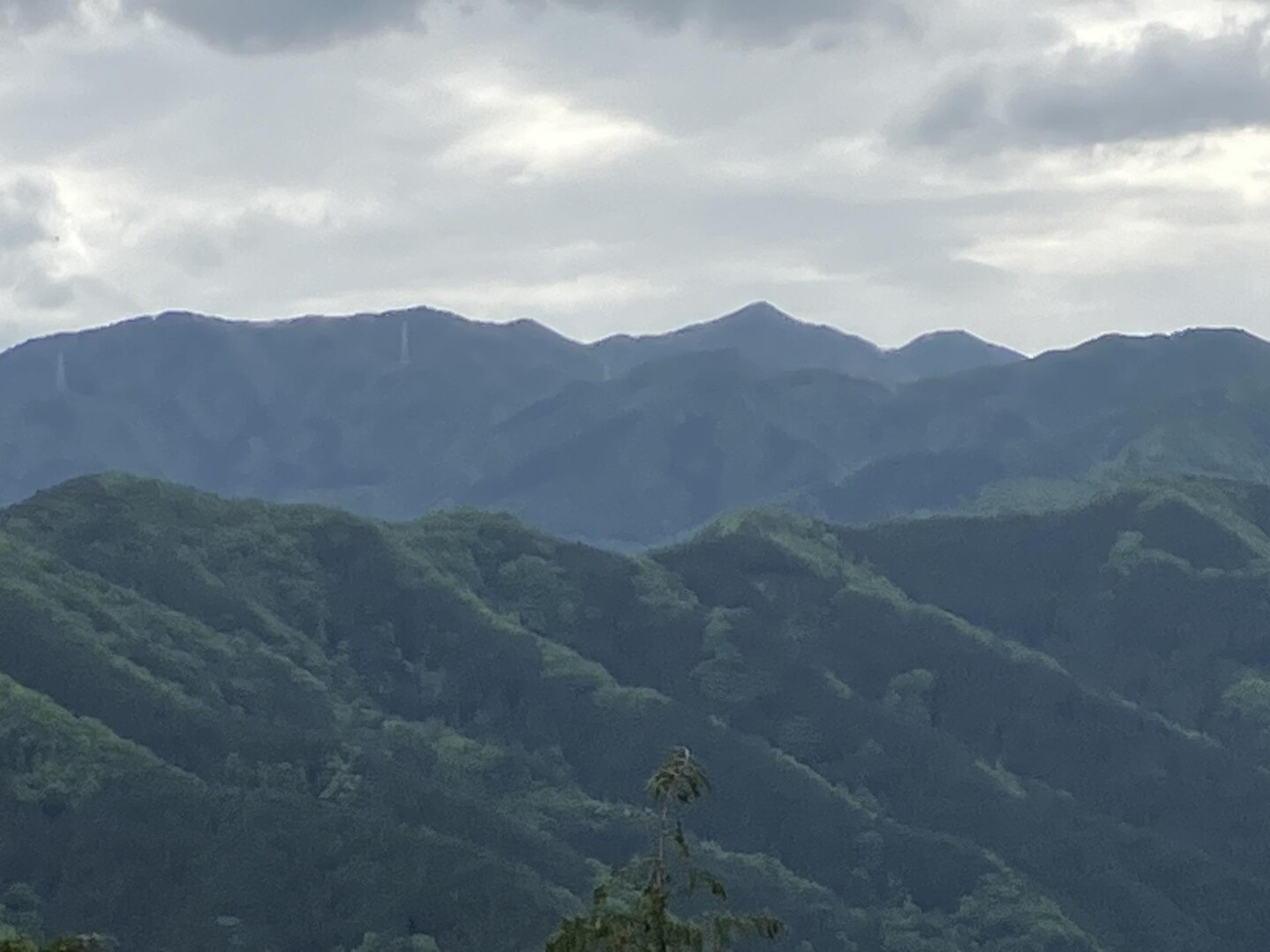 八幡坂ノ頭・豆口山・愛宕山・子ノ山・阿字山 / UTさんの武甲山・伊豆ヶ岳・小持山の活動データ | YAMAP / ヤマップ