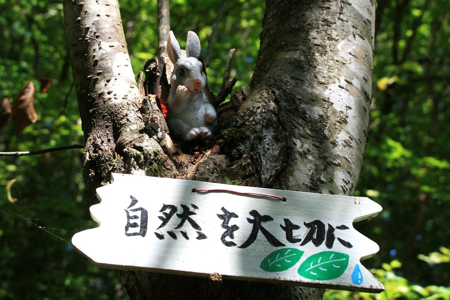 2023/9/7 リハビリ登山は、137日ぶりの文殊山へ。 / 森人さんの文殊山の活動データ | YAMAP / ヤマップ