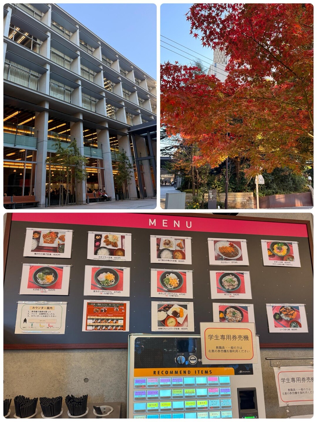 山とは関係無い投稿ですみません。 卒業... / Kayoさんのモーメント | YAMAP / ヤマップ