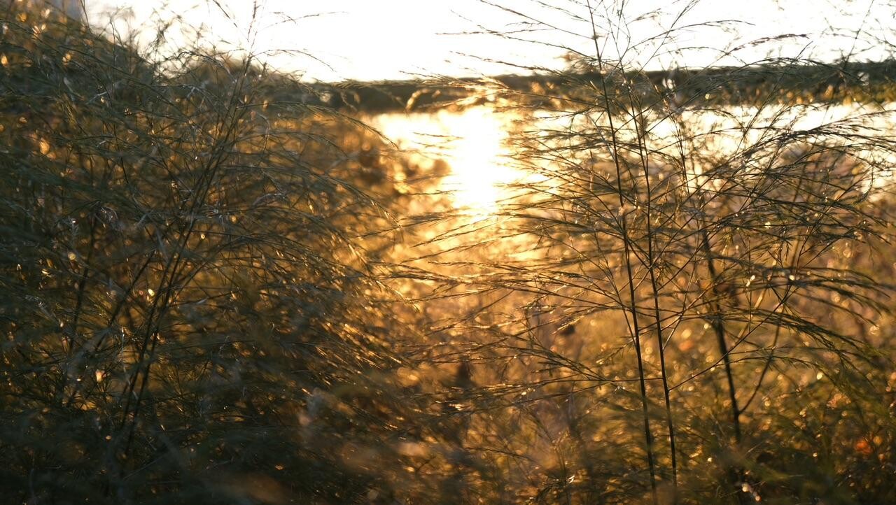 U教授のページ | YAMAP / ヤマップ